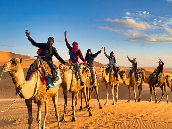 Abu Dhabi Safari | Best Desert Safari Tours